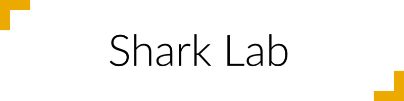 | California State University Long Beach